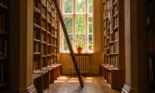 Library — Emily Ruth Hazel