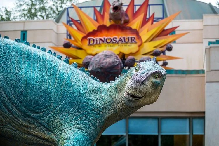 Top 5 Rides Based on Movies: Animal Kingdom Edition — the FilmTripper