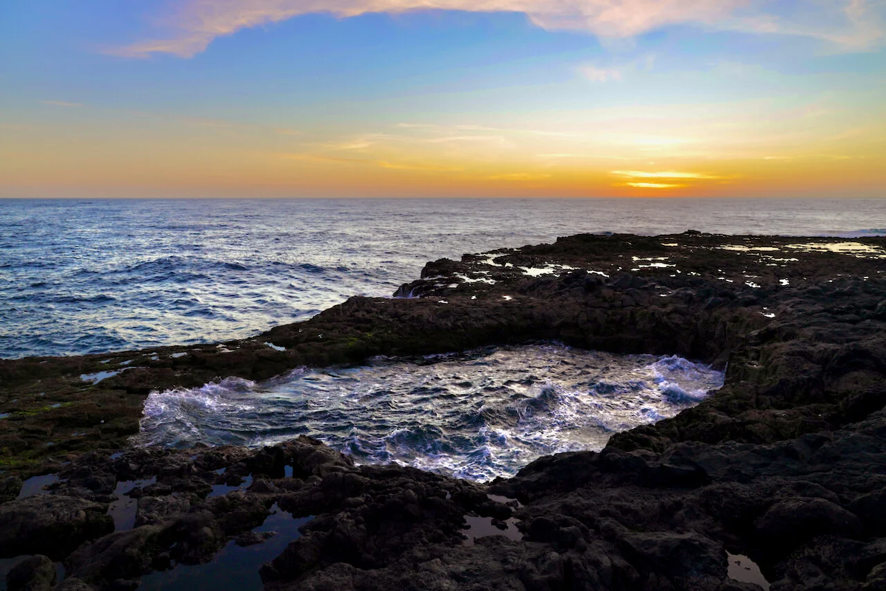 Dane Thomas Photography