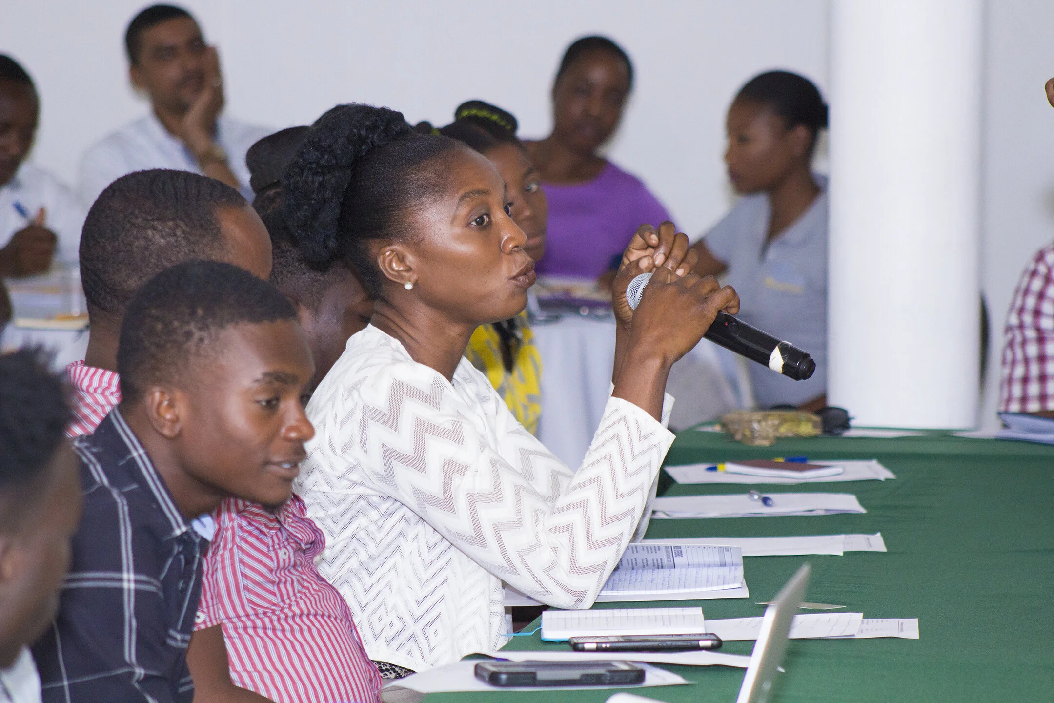 Haiti Development Institute