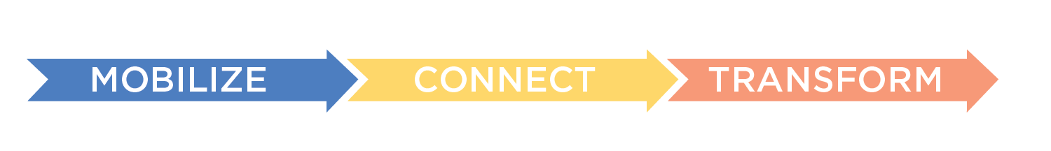 Haiti Development Institute