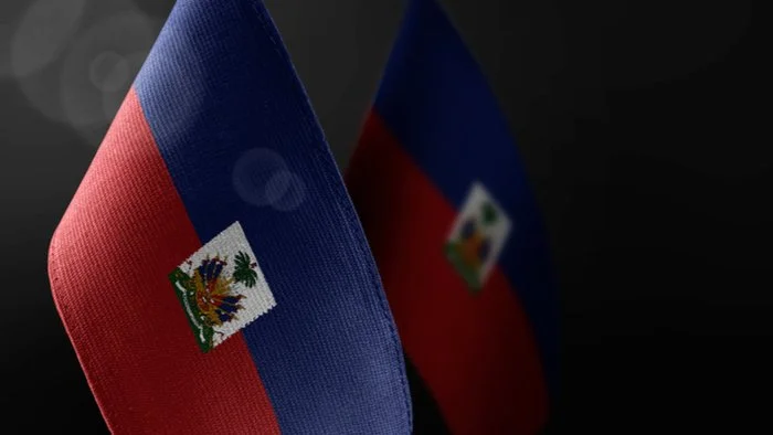 Haiti Development Institute