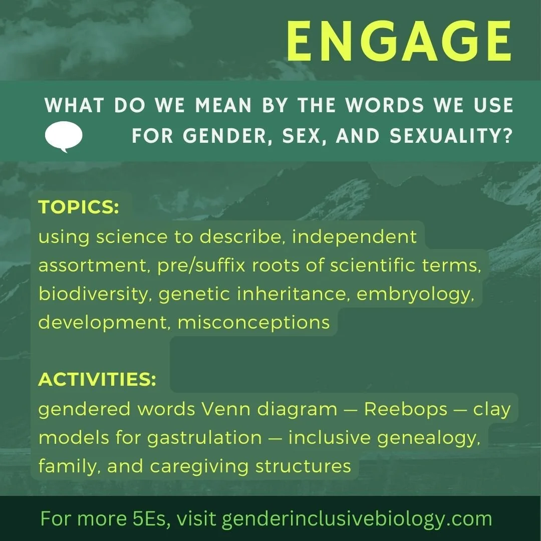 infographics — Gender-Inclusive Biology