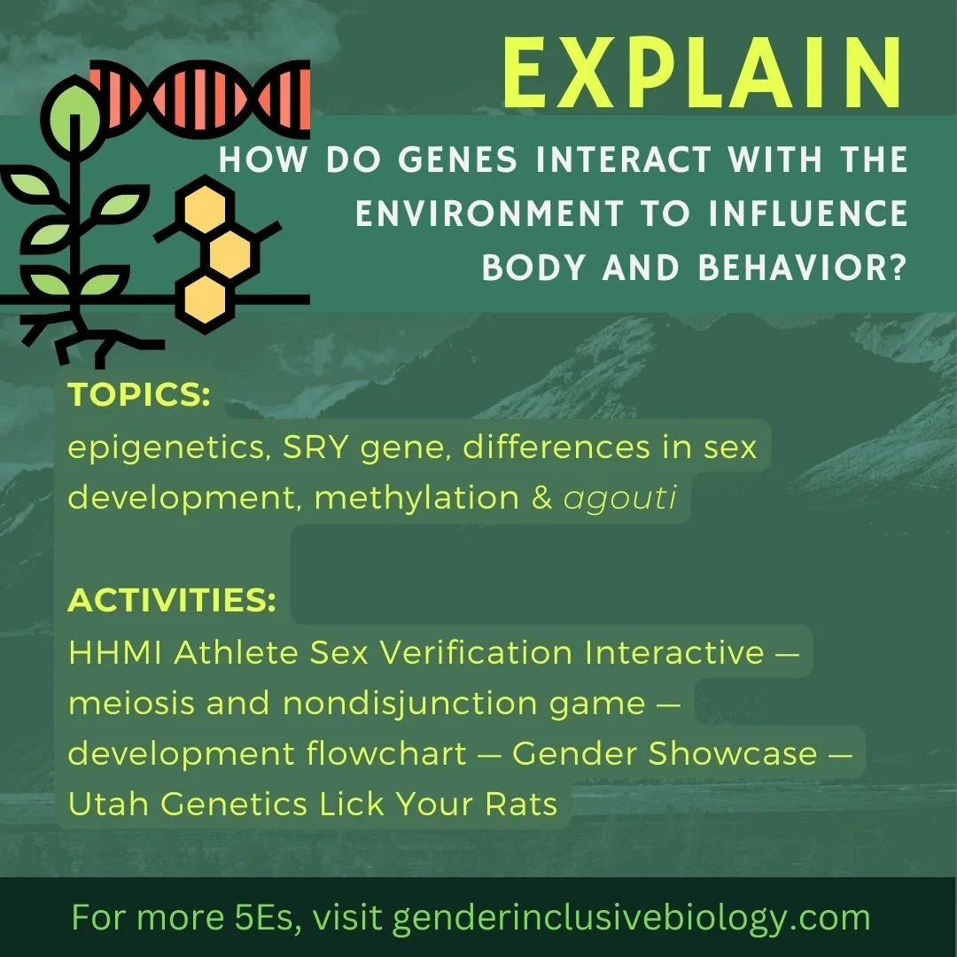 infographics, PD, media — Gender-Inclusive Biology
