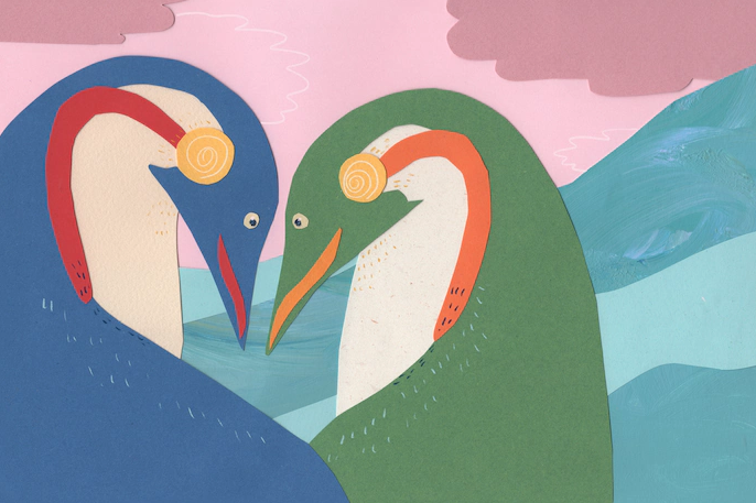 Queer Animals Are Everywhere. Science Is Finally Catching On. — Gender ...