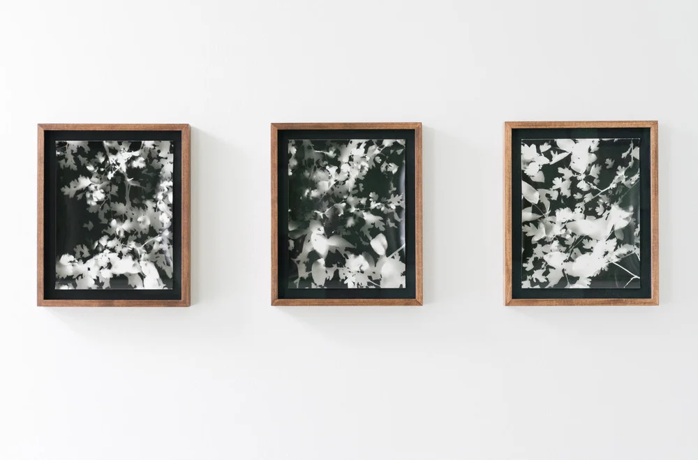 Works — Jonathan Michael Ray