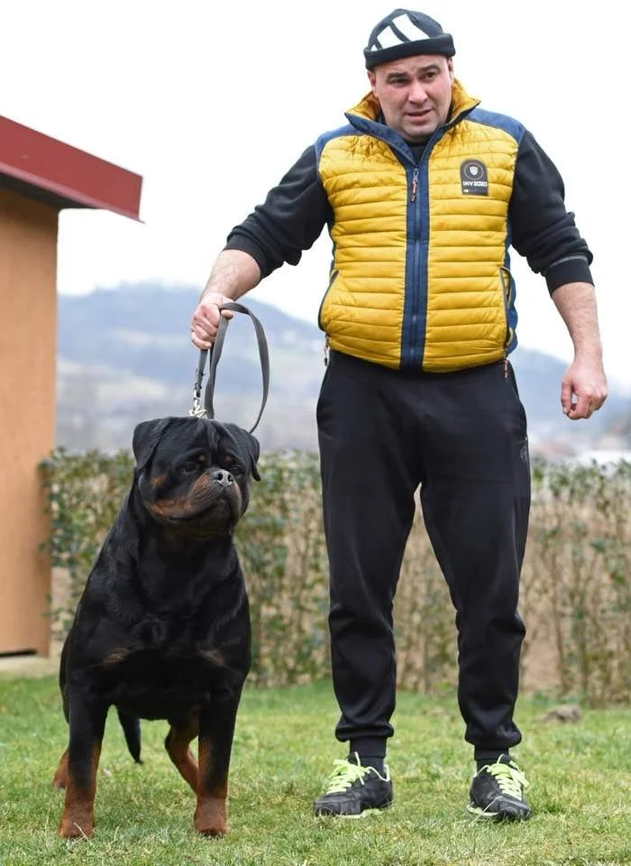 DKV Rottweilers | German Rottweiler Puppies For Sale | Noris-Hera