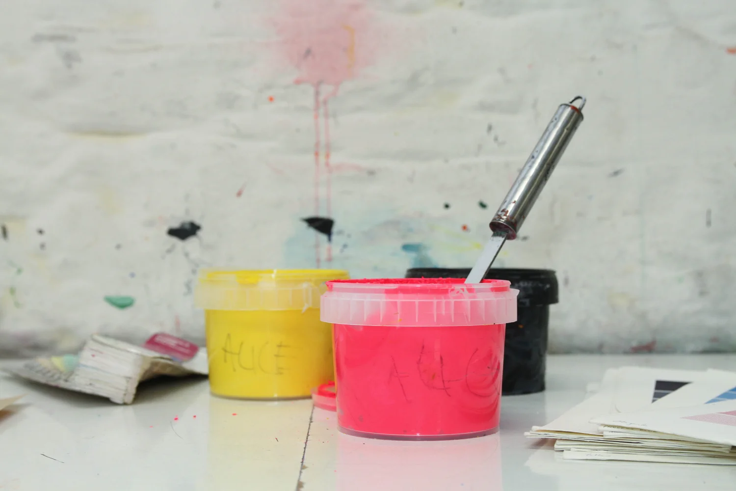 Print artist profile — Alice Fitzgerald