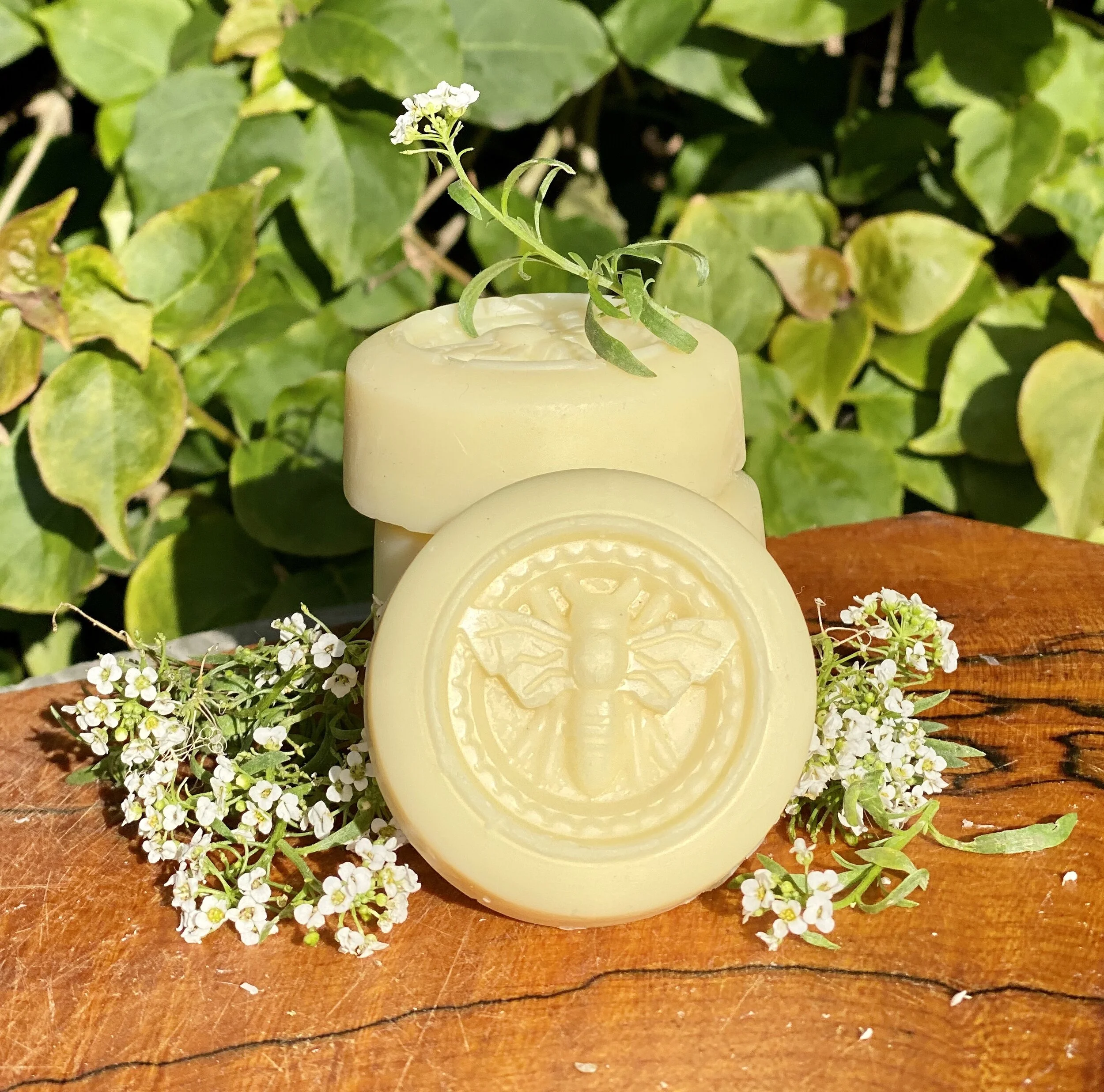 shampoo bars, conditioner bars, lotion bars dish soap bars. — sustainabar