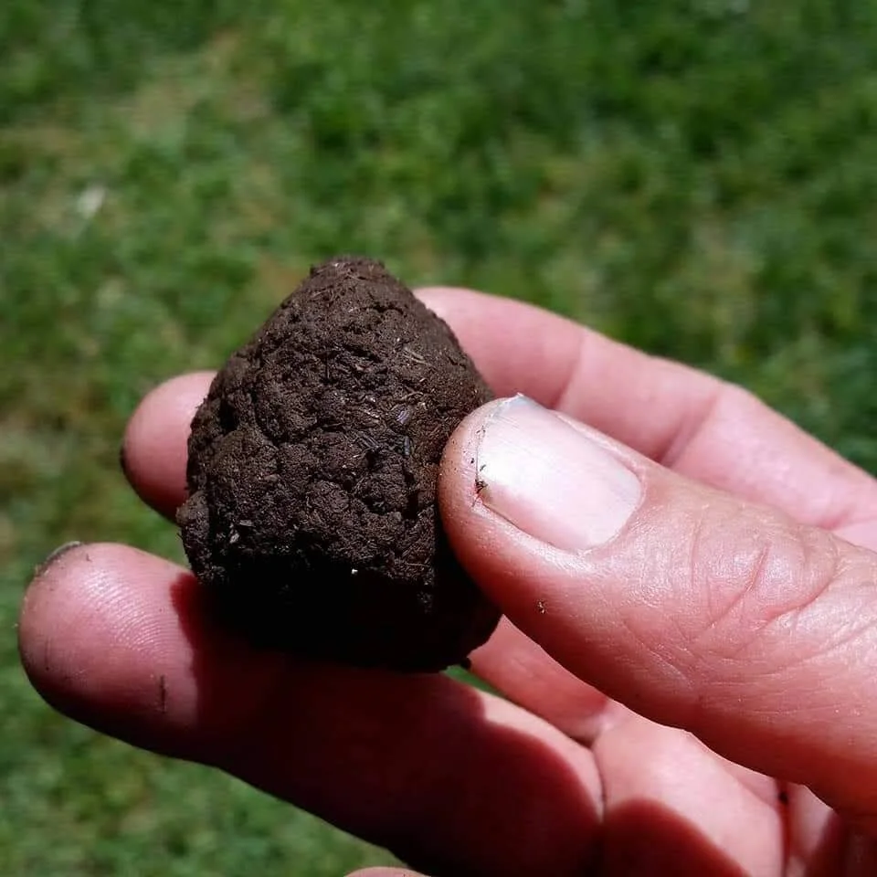 Information Save Our Soil Australia Information Save Our Soil Australia