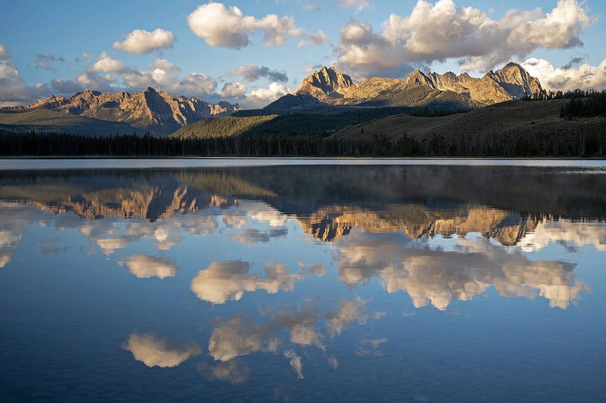 A Hero's Journey — The Safina Center