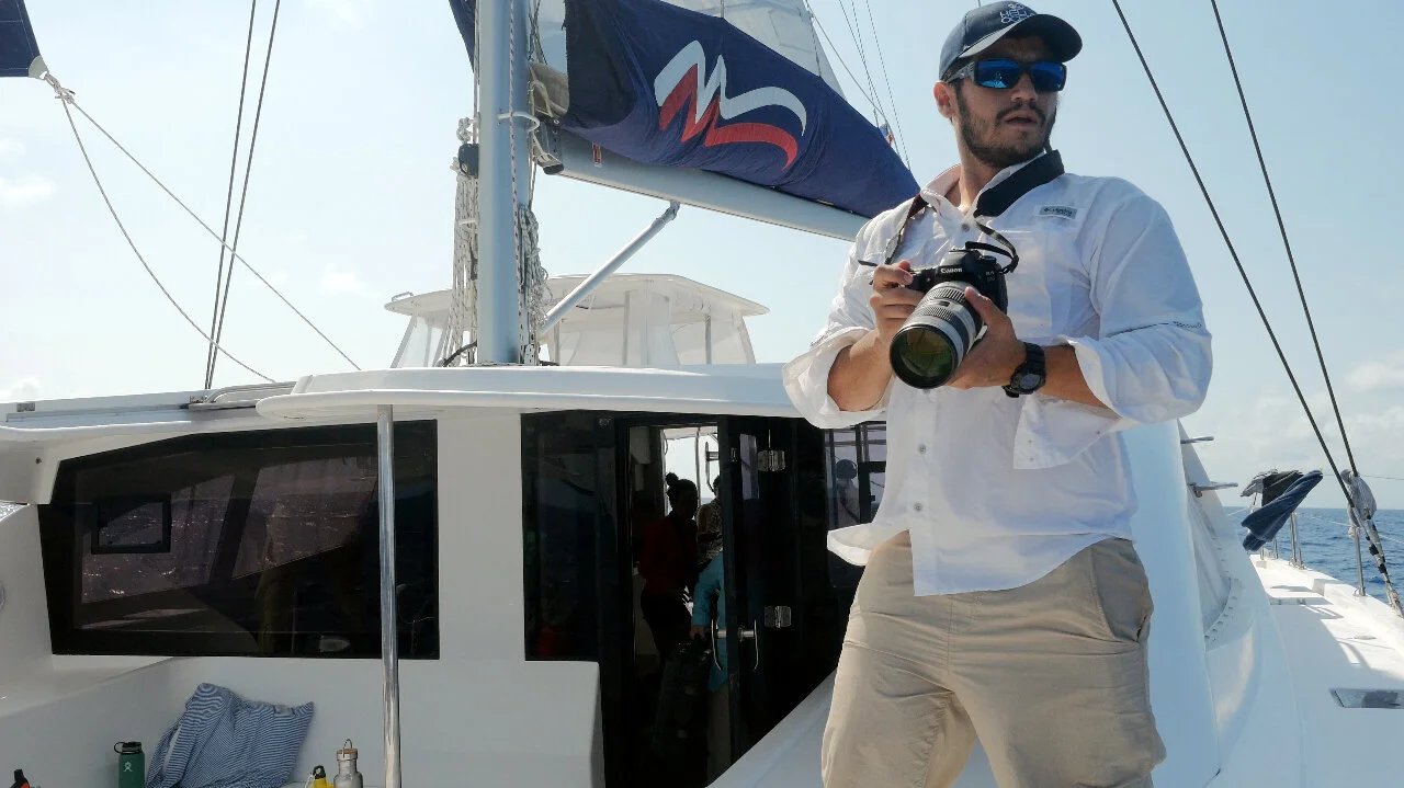 Notes from the Field: The Bird and the Dolphins — The Safina Center
