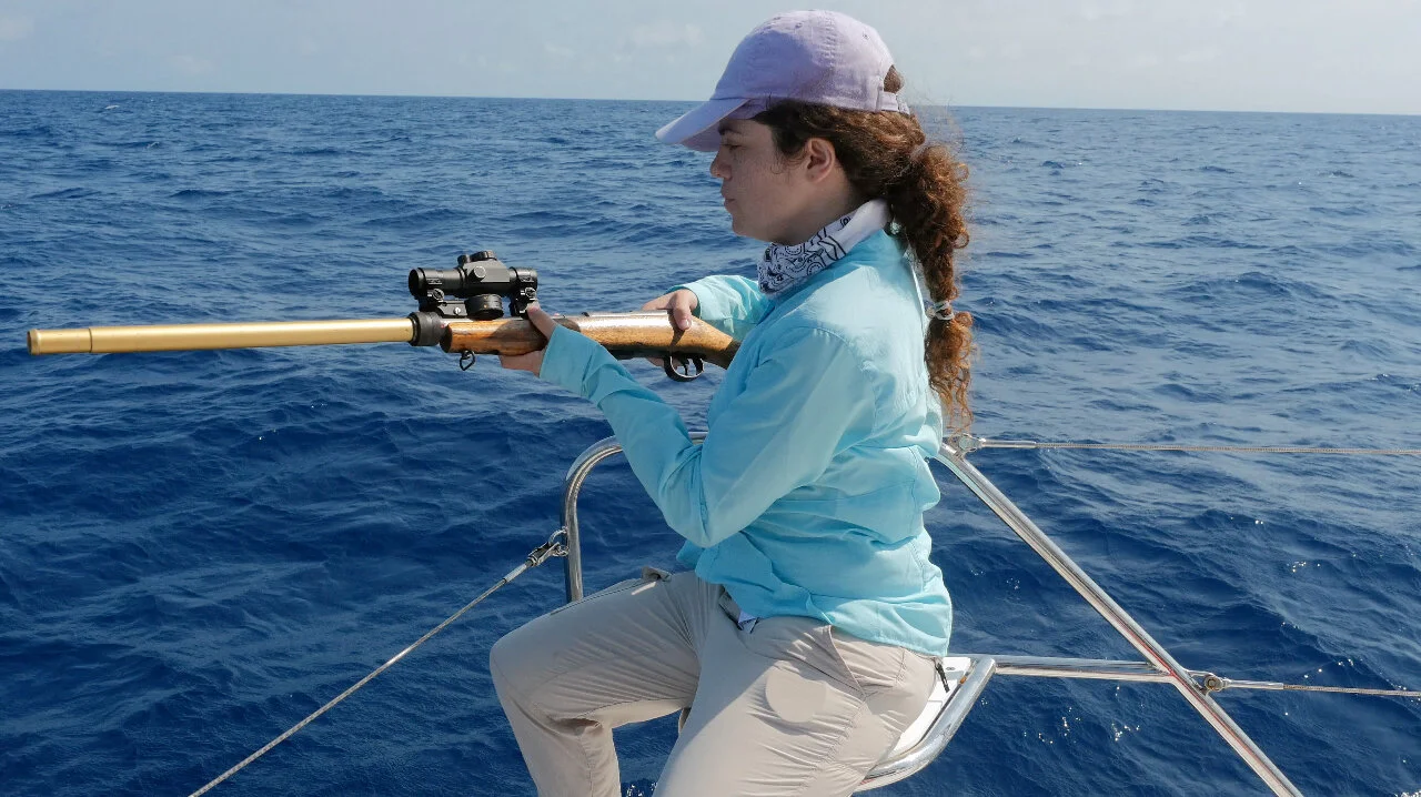 Notes from the Field: The Bird and the Dolphins — The Safina Center