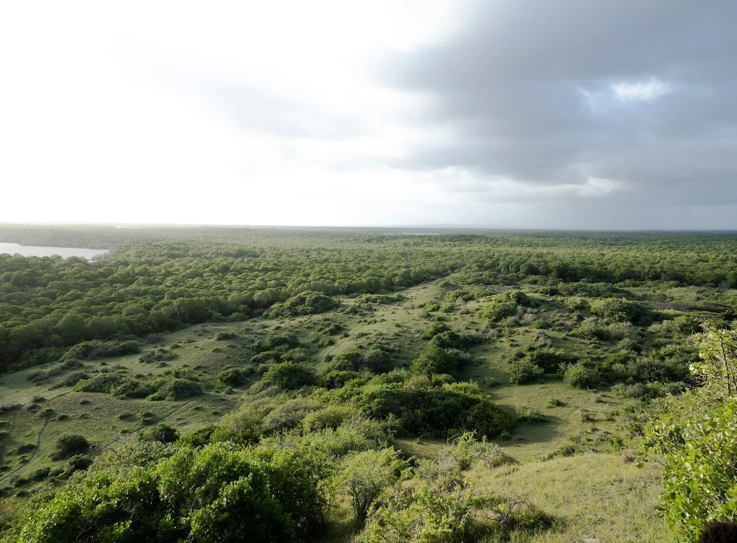 Lamu: A fishing paradise — The Safina Center