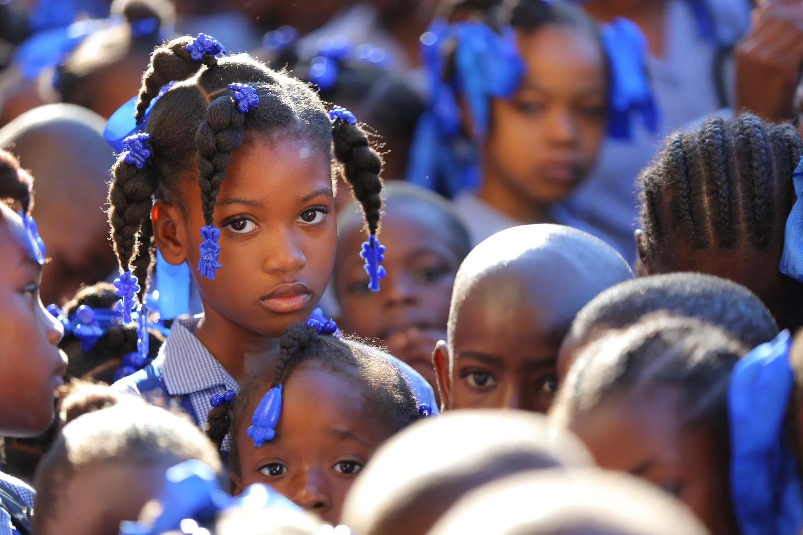 2,000 Bilingual Creole-French Books for Haiti — The Safina Center