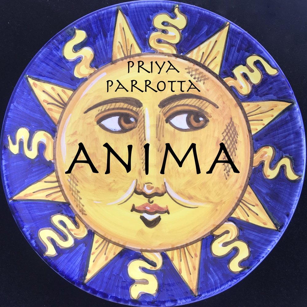ANIMA: When Ecosystems Meet Dreams — The Safina Center