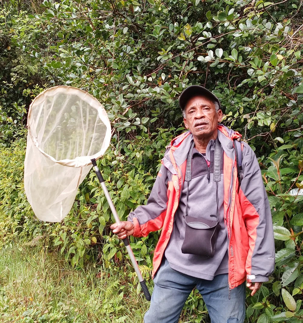 Butterflies and Moths Matter! — The Safina Center