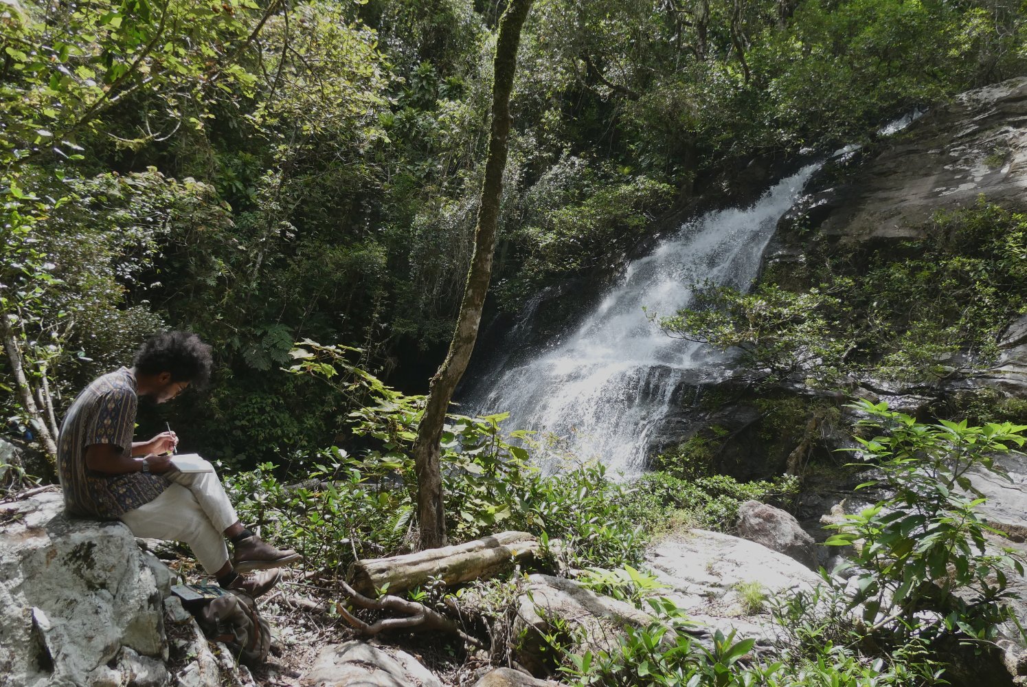 Capturing the Essence of the Andregna Waterfalls — The Safina Center