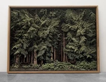 Artists for Forests — Forests Without Frontiers