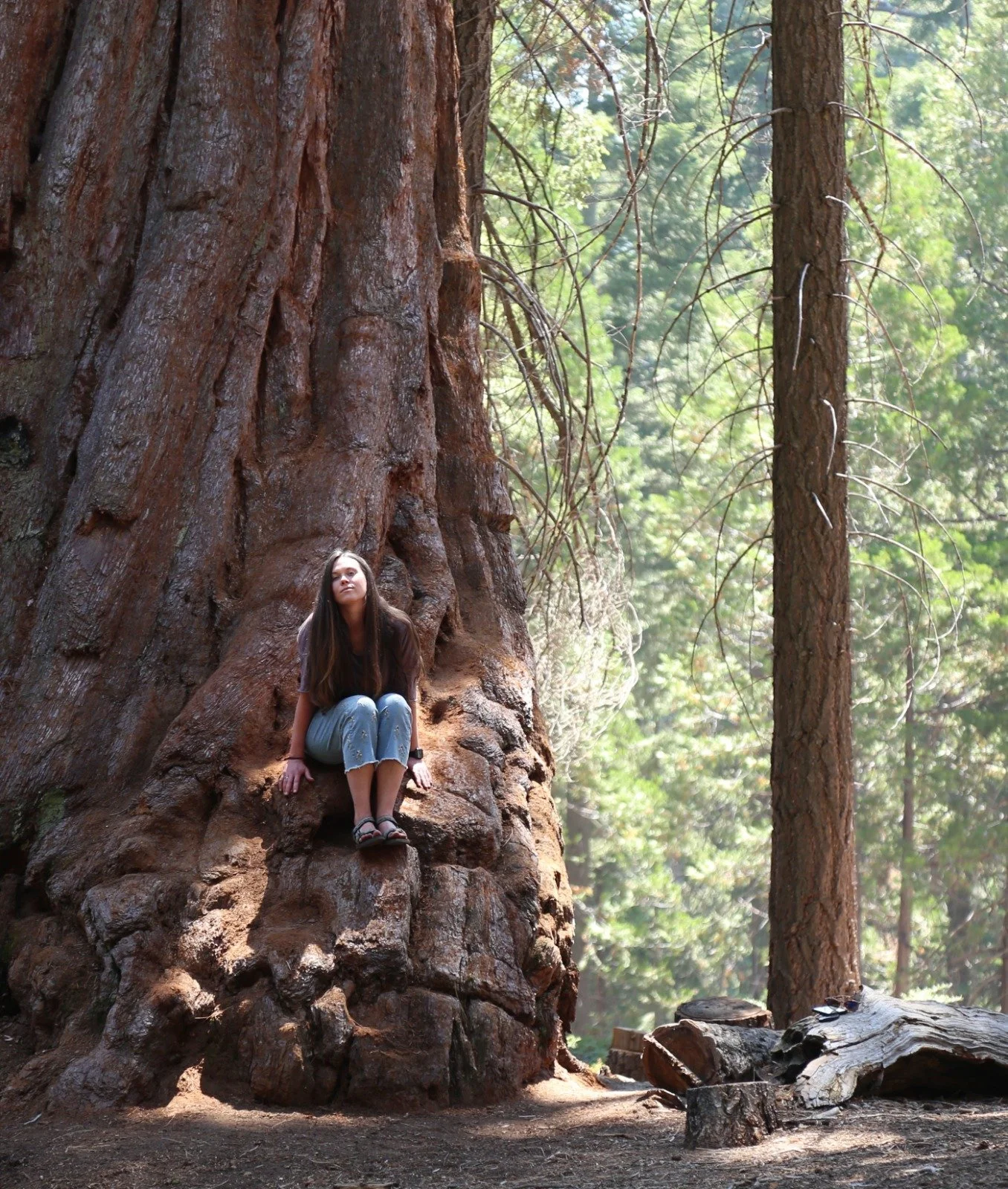 Our Team — Forests Without Frontiers