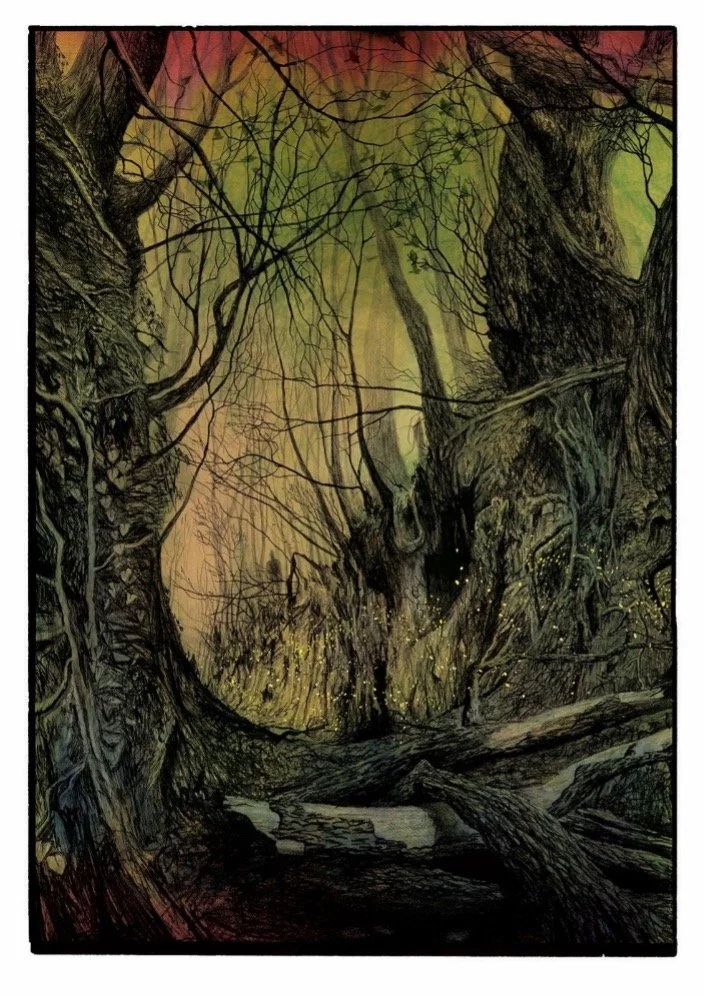 Artists for Forests — Forests Without Frontiers