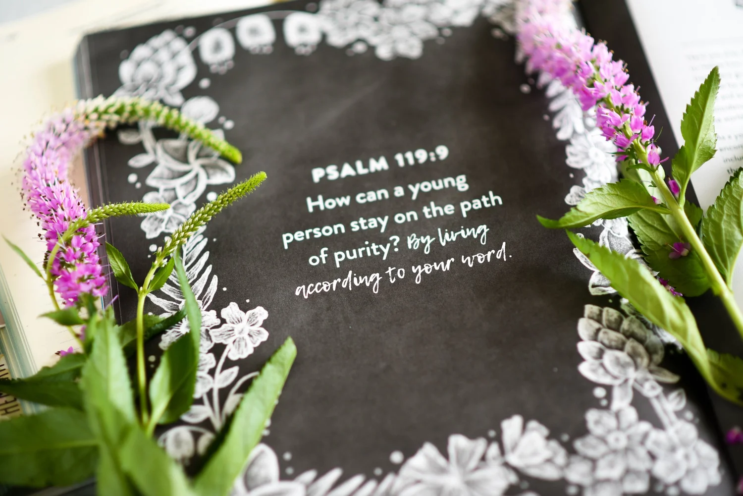 Prayer Journal For Teen Girls by Shannon Roberts — The White Lime