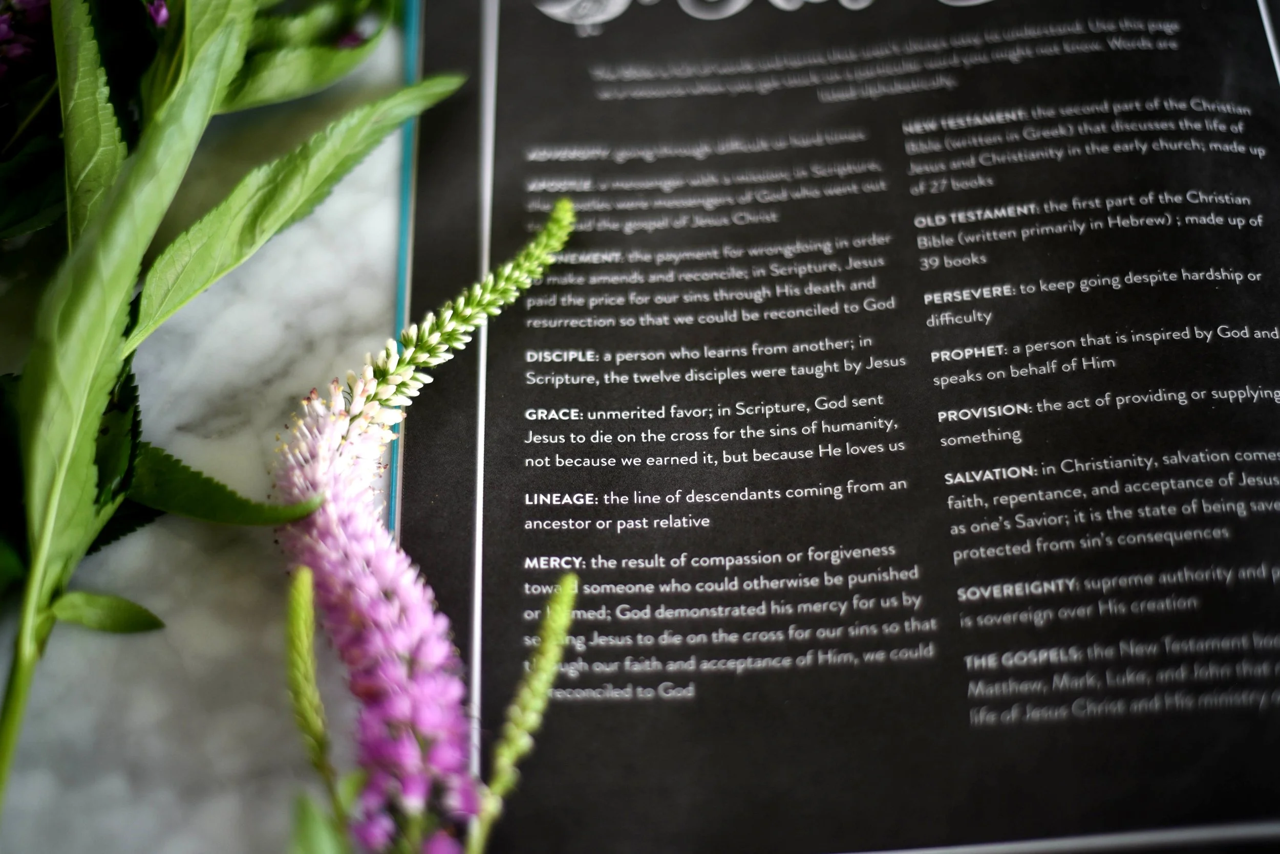 Prayer Journal For Teen Girls by Shannon Roberts — The White Lime