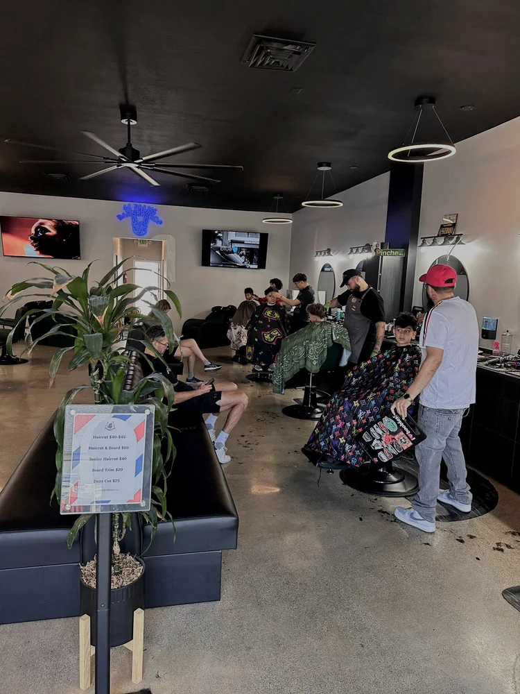 44 Palms