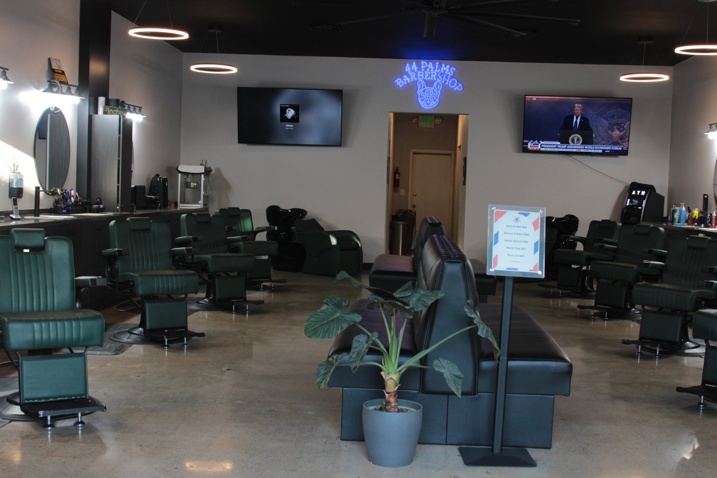 44 Palms