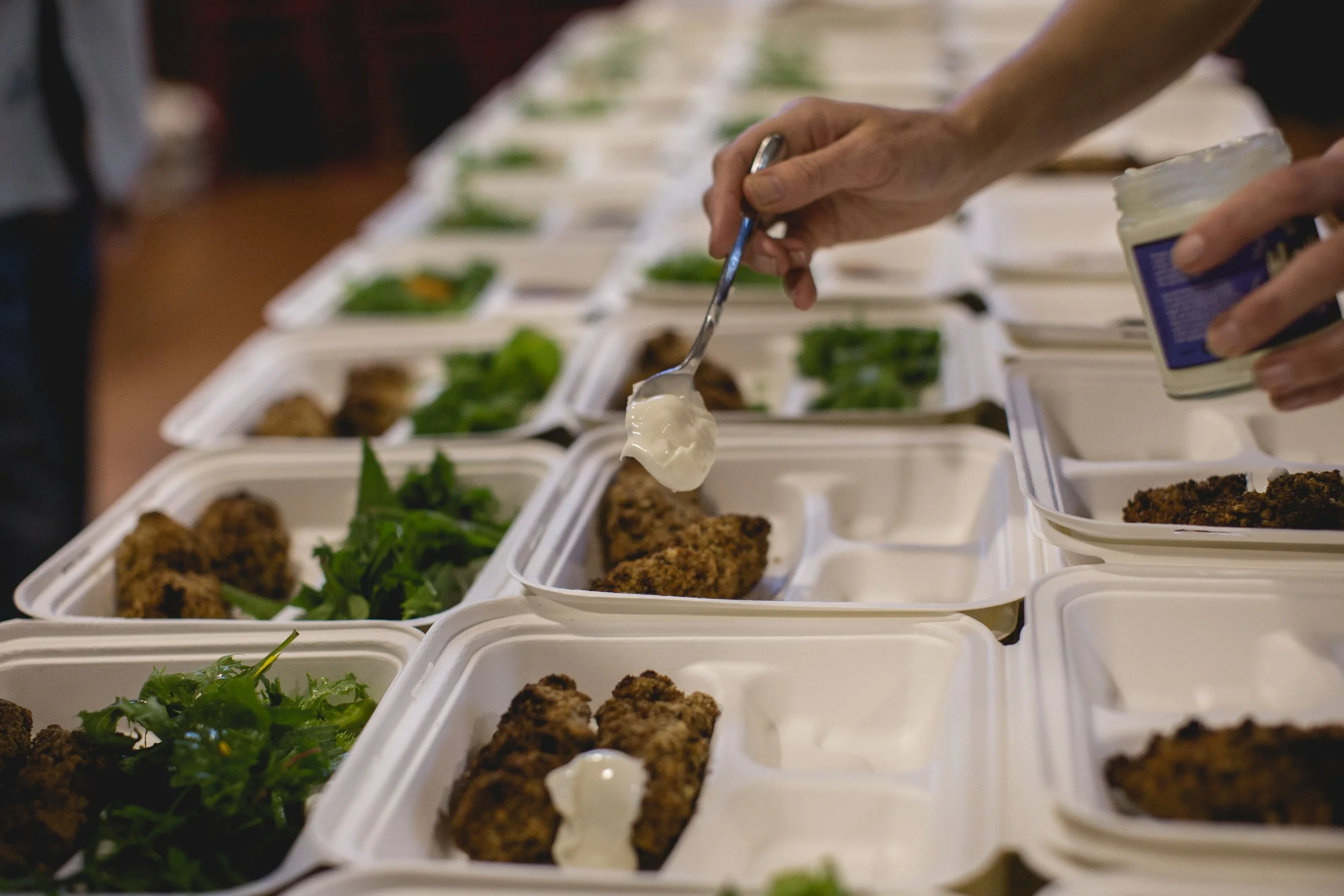 Welcome to Seeds to Feeds