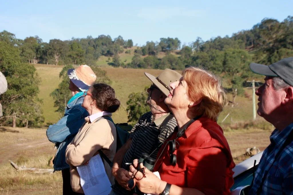 About the Dungog Common — Dungog Common Recreation Reserve