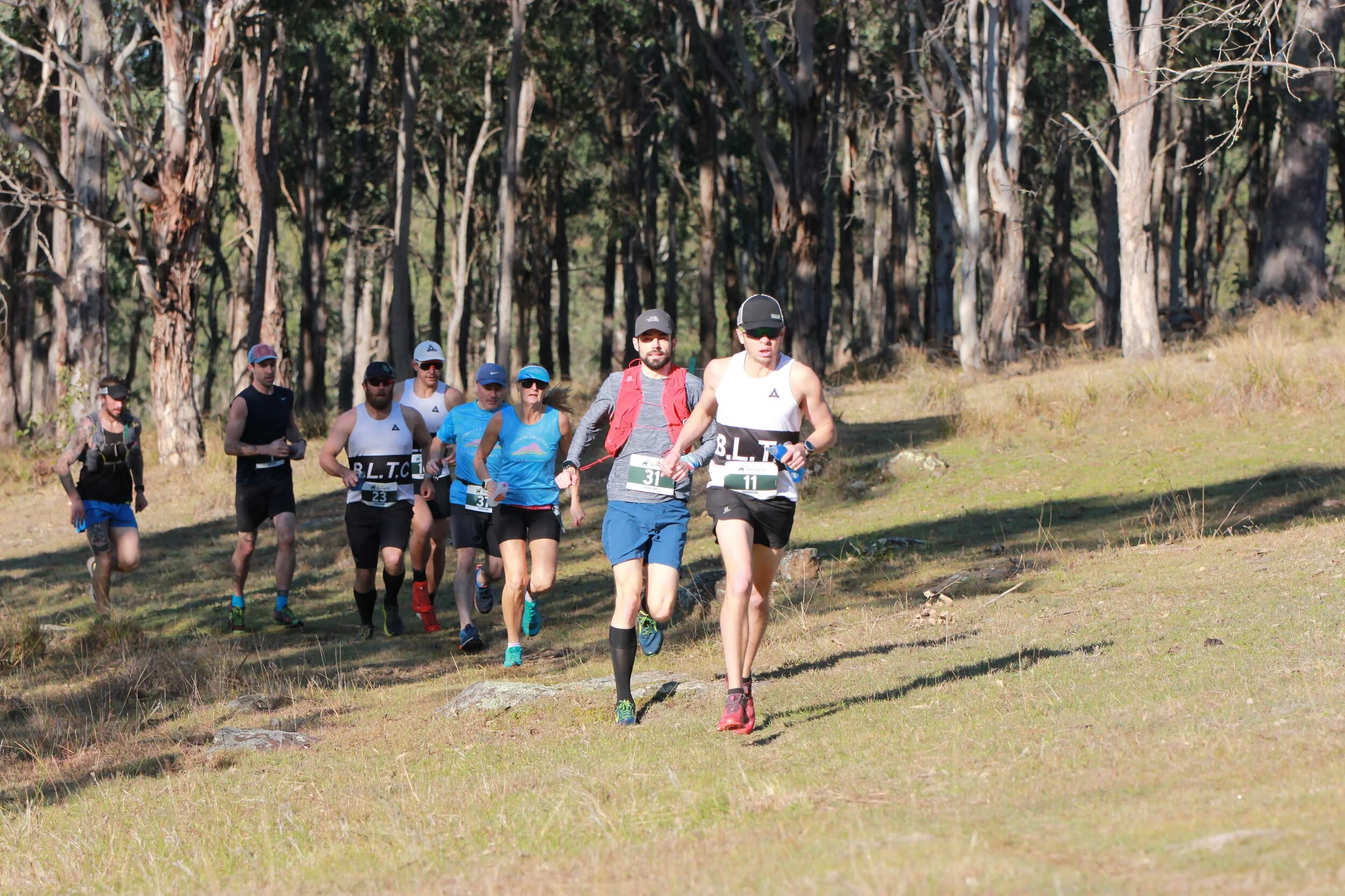 Dungog Common Recreation Reserve