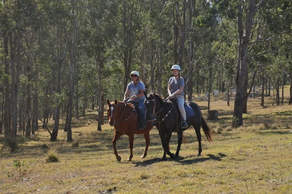 Donate — Dungog Common Rectreation Reserve