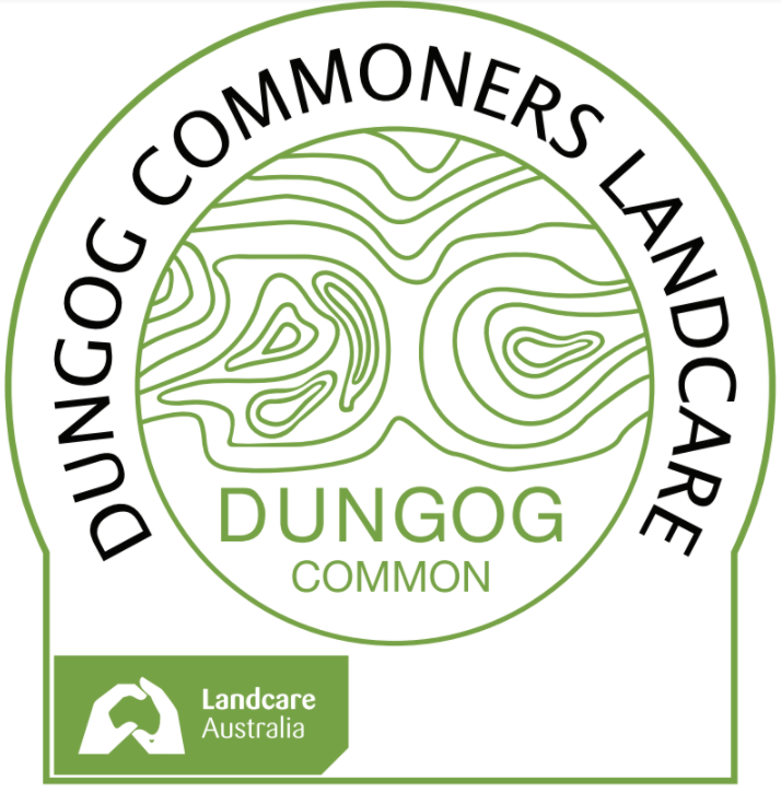 Dungog Commoners Landcare — Dungog Common Recreation Reserve