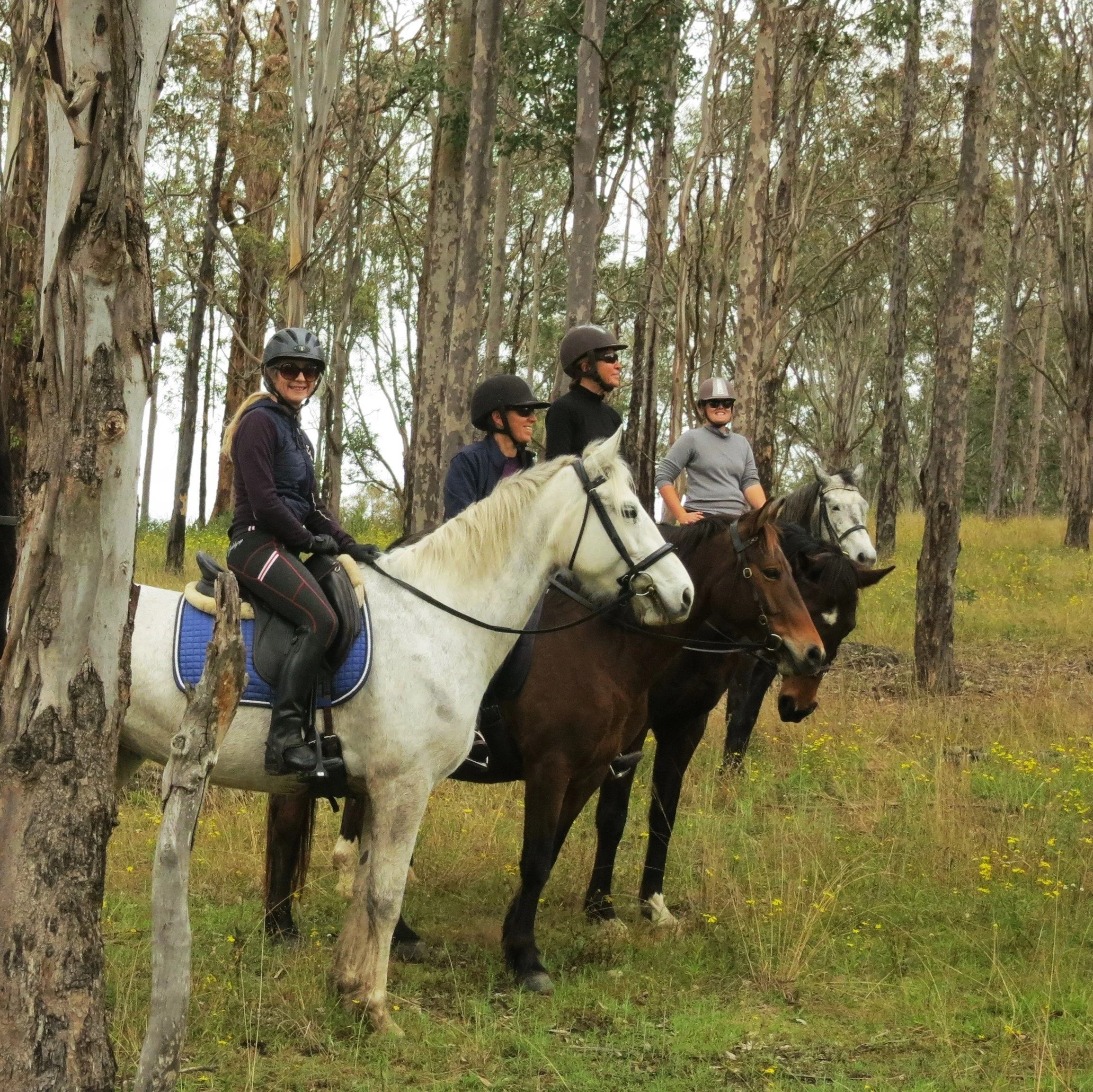 Donate — Dungog Common Recreation Reserve