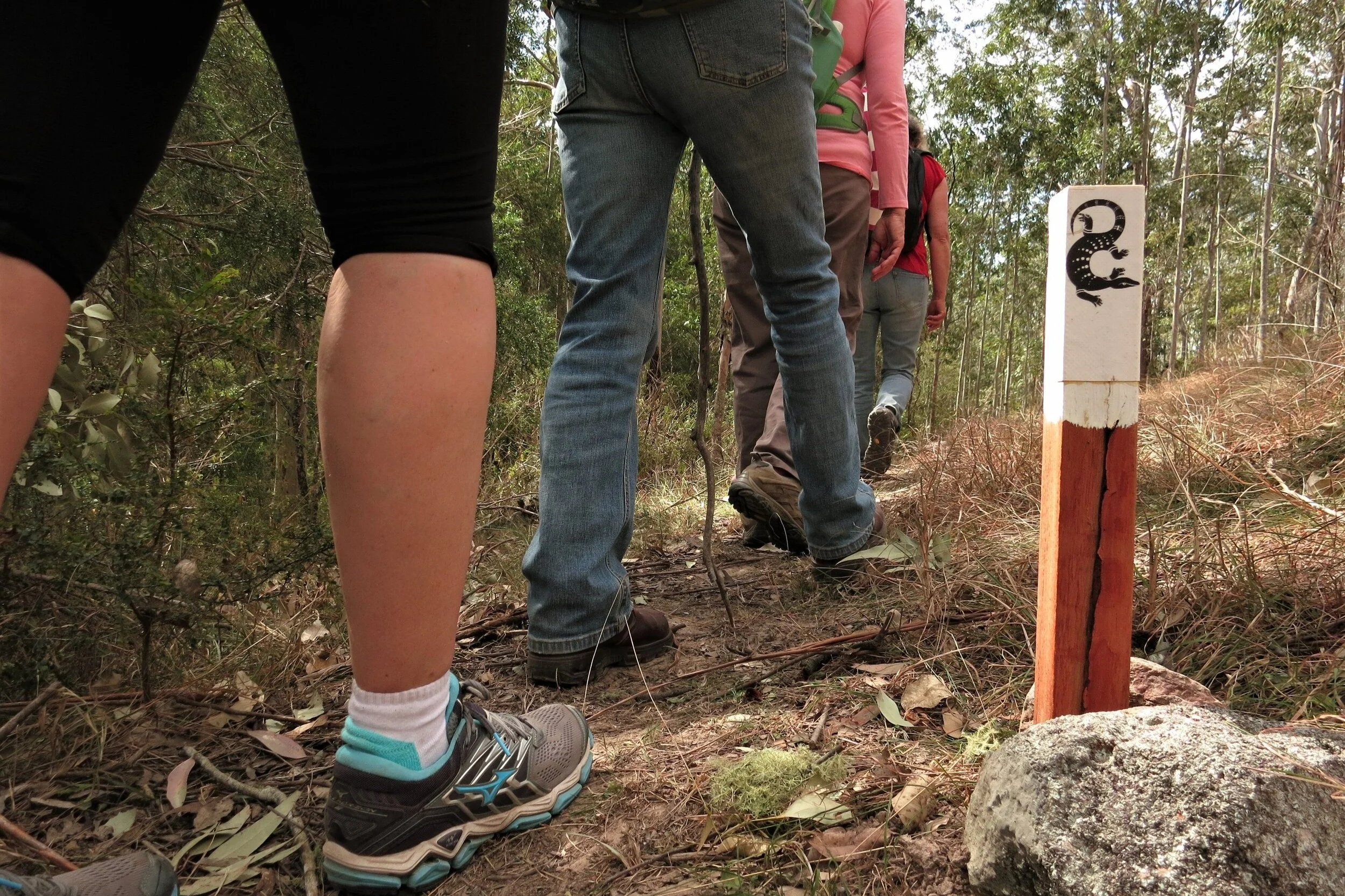Dungog Common Recreation Reserve