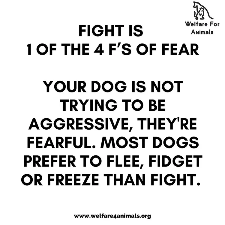 The 4F’s of Fear- Fear Responses — Welfare For Animals