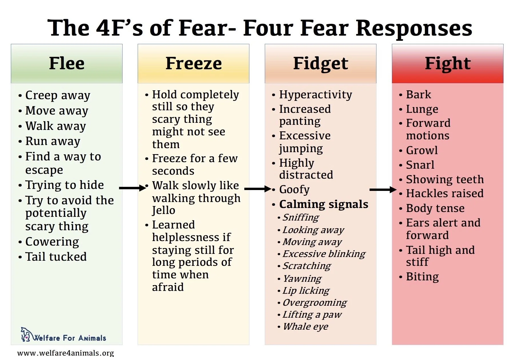 The 4F’s of Fear- Fear Responses — Welfare For Animals