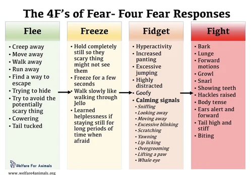 The 4F’s of Fear- Fear Responses — Welfare For Animals