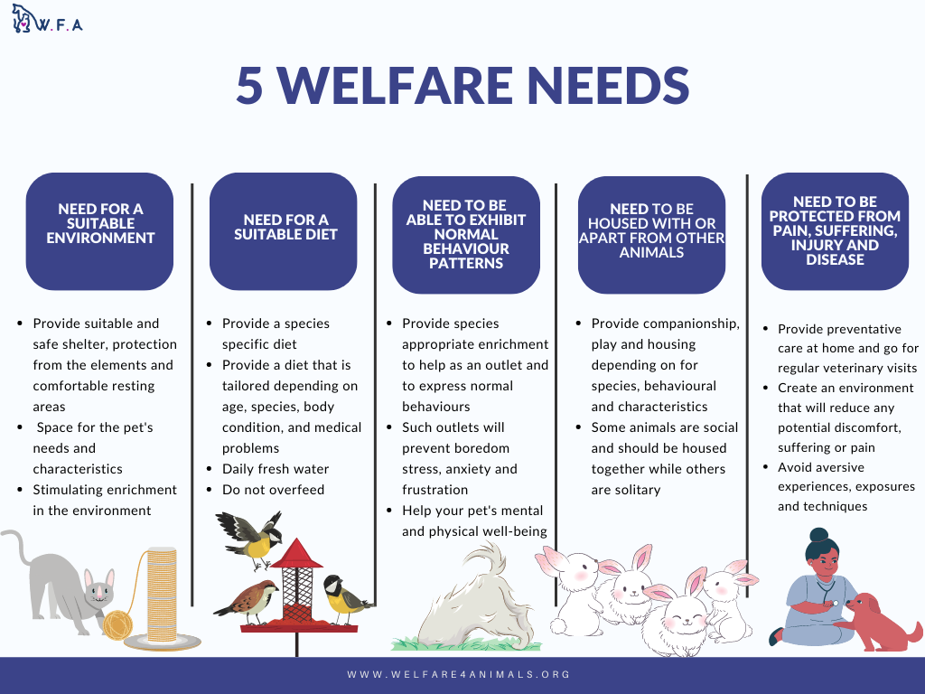 Is Your Dog a Digger?? — Welfare For Animals