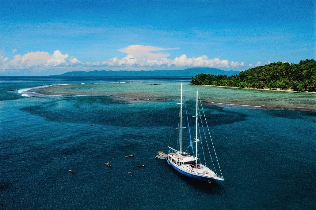 Tradewind Charters | Sailing, Cruising, Private Charters