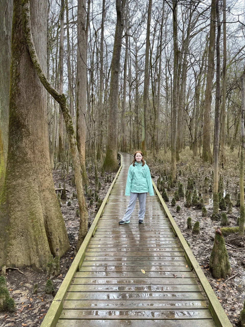 Congaree National Park — CuriousLens