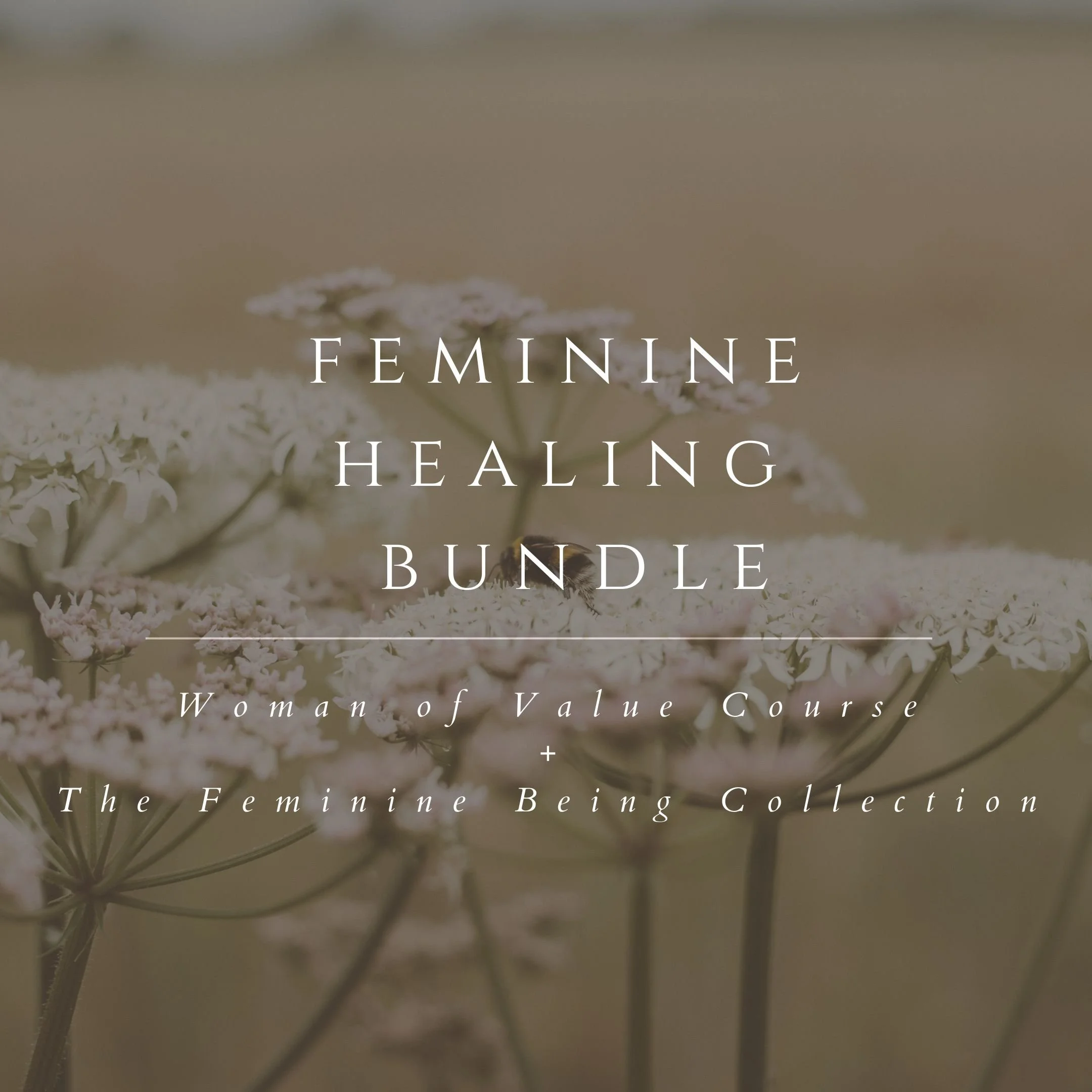 self-led resources — Soul and Self