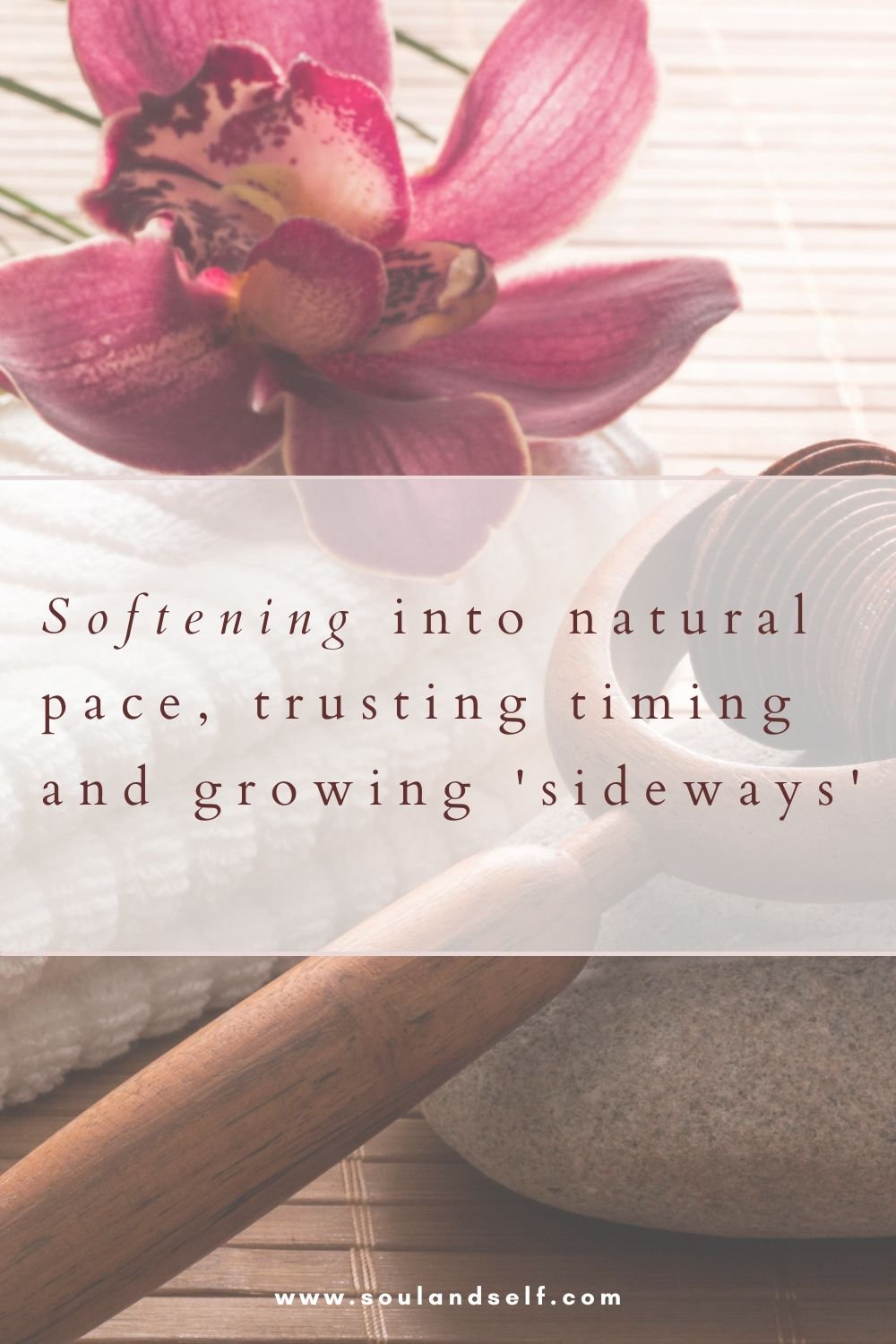 Softening into natural pace, trusting timing and growing 'sideways ...
