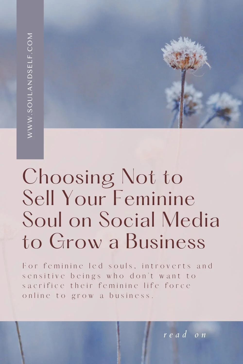 Choosing Not to Sell Your Feminine Soul on Social Media to Grow a ...