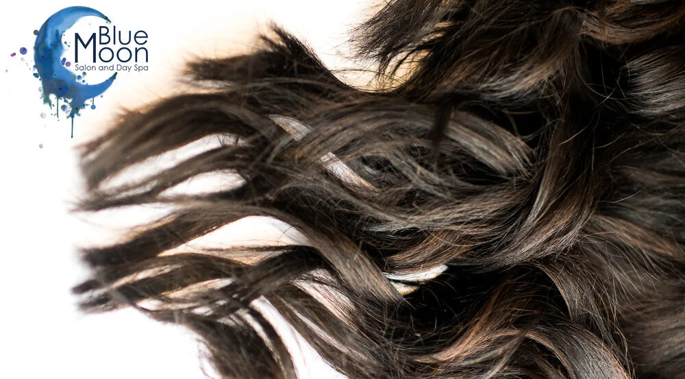 Blue Moon Salon and Day Spa