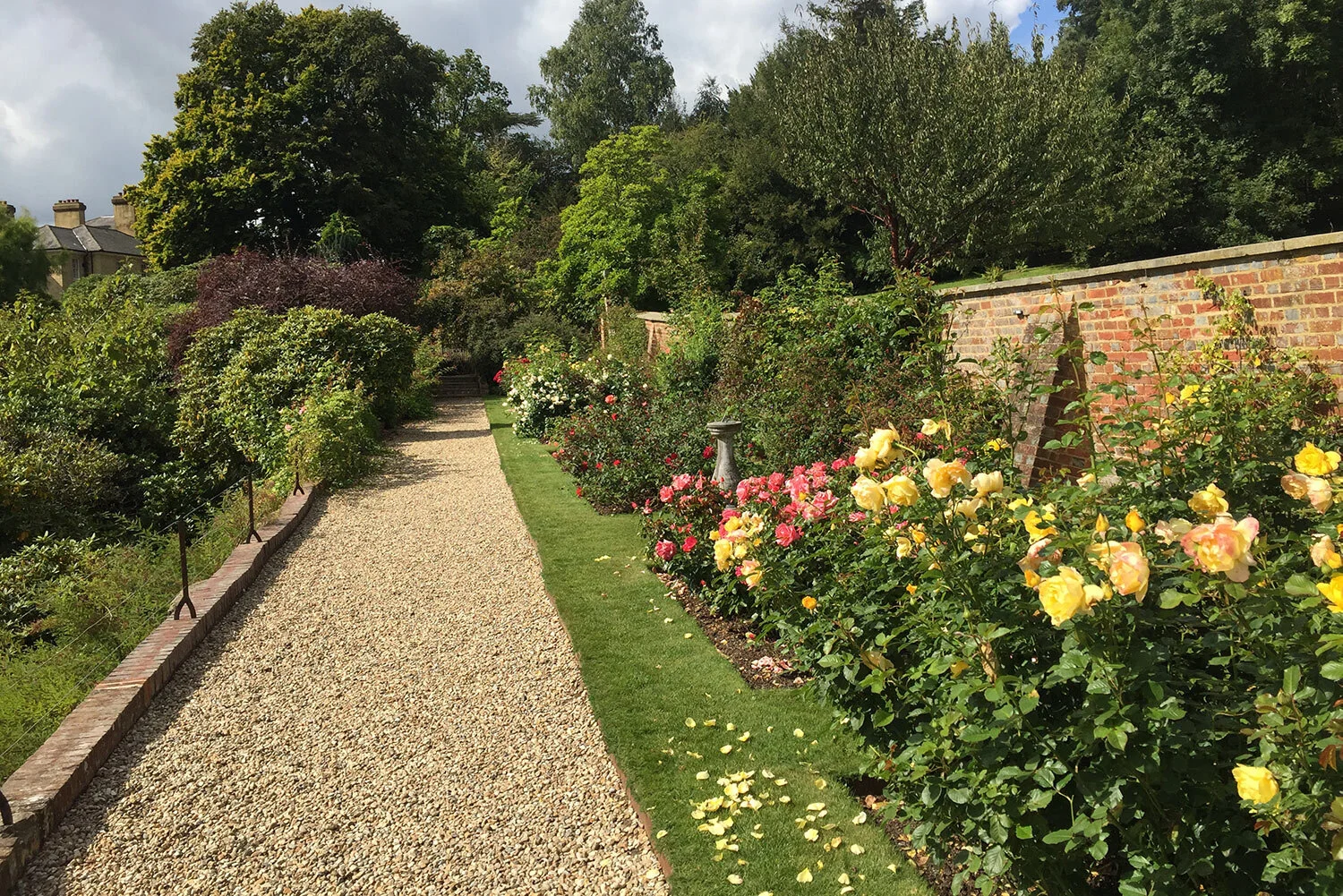 Garden Guide — Riverhill Himalayan Gardens