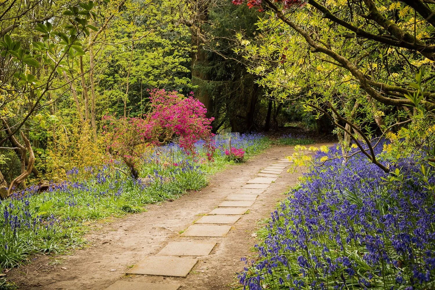 Garden Guide — Riverhill Himalayan Gardens