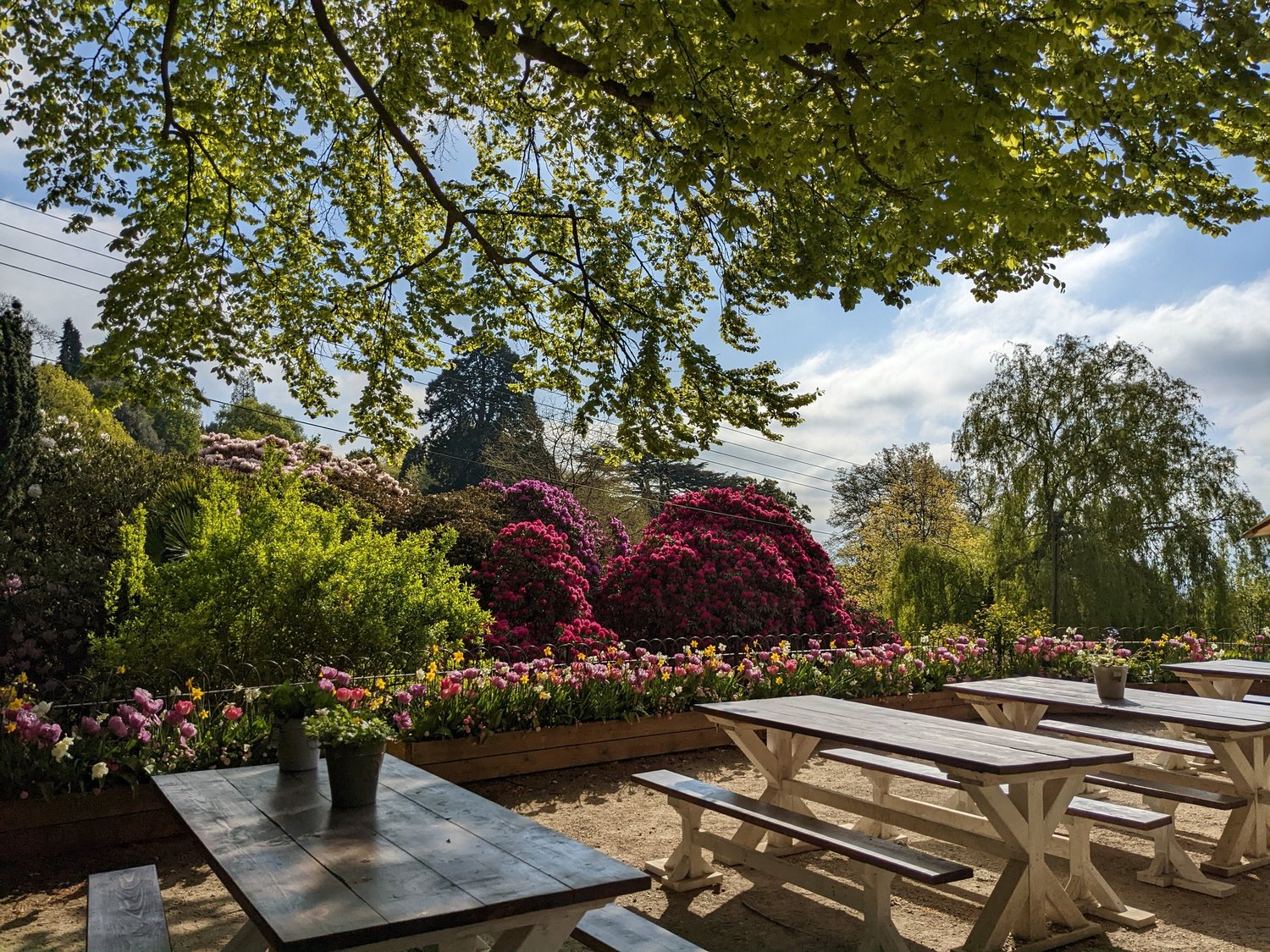 Riverhill Himalayan Gardens Afternoon Tea | Fasci Garden
