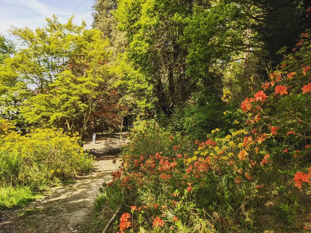 Riverhill Himalayan Gardens